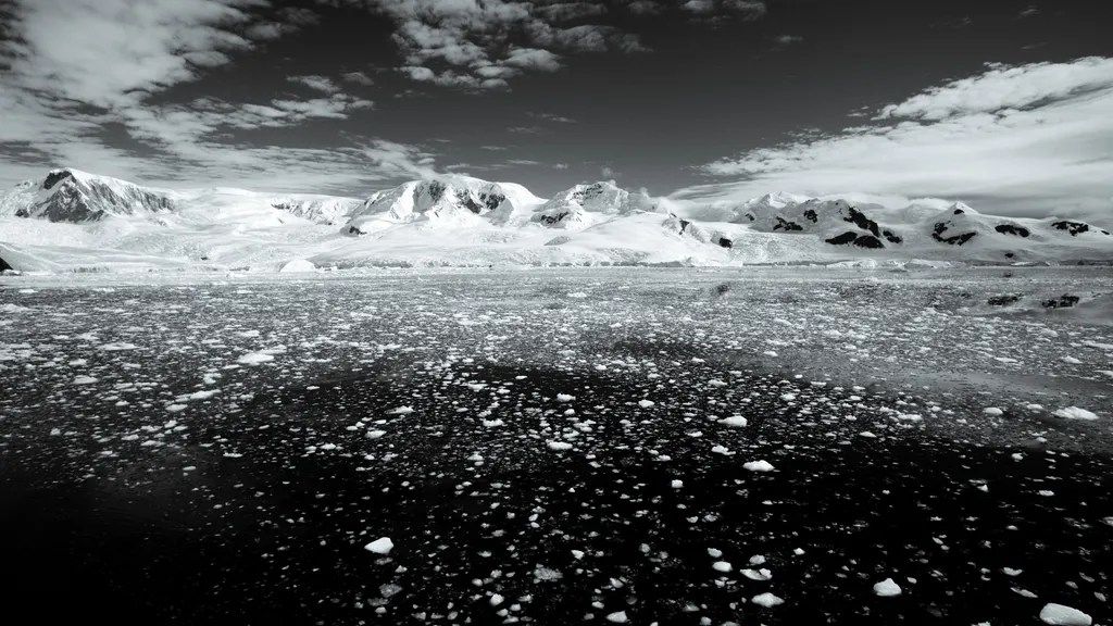 Record winter temperatures in Antarctic raise fears over speed of ...